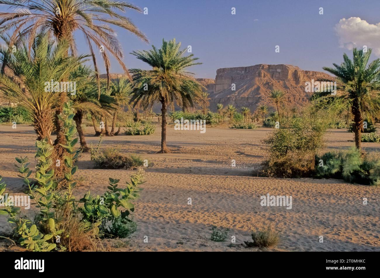 Hadhramaut is a region in South Arabia, comprising eastern Yemen, parts ...