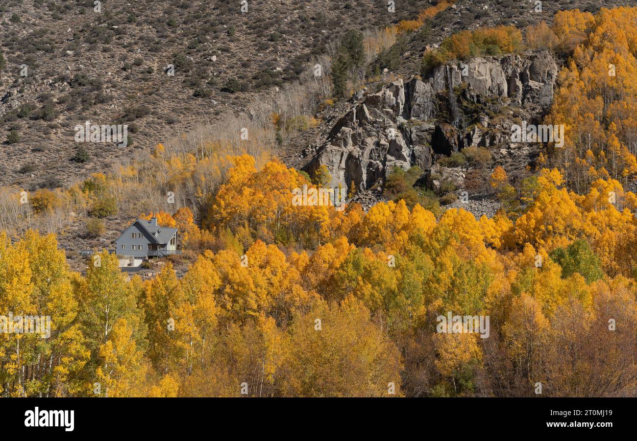 Fall in the Eastern Sierra, California Stock Photo - Alamy