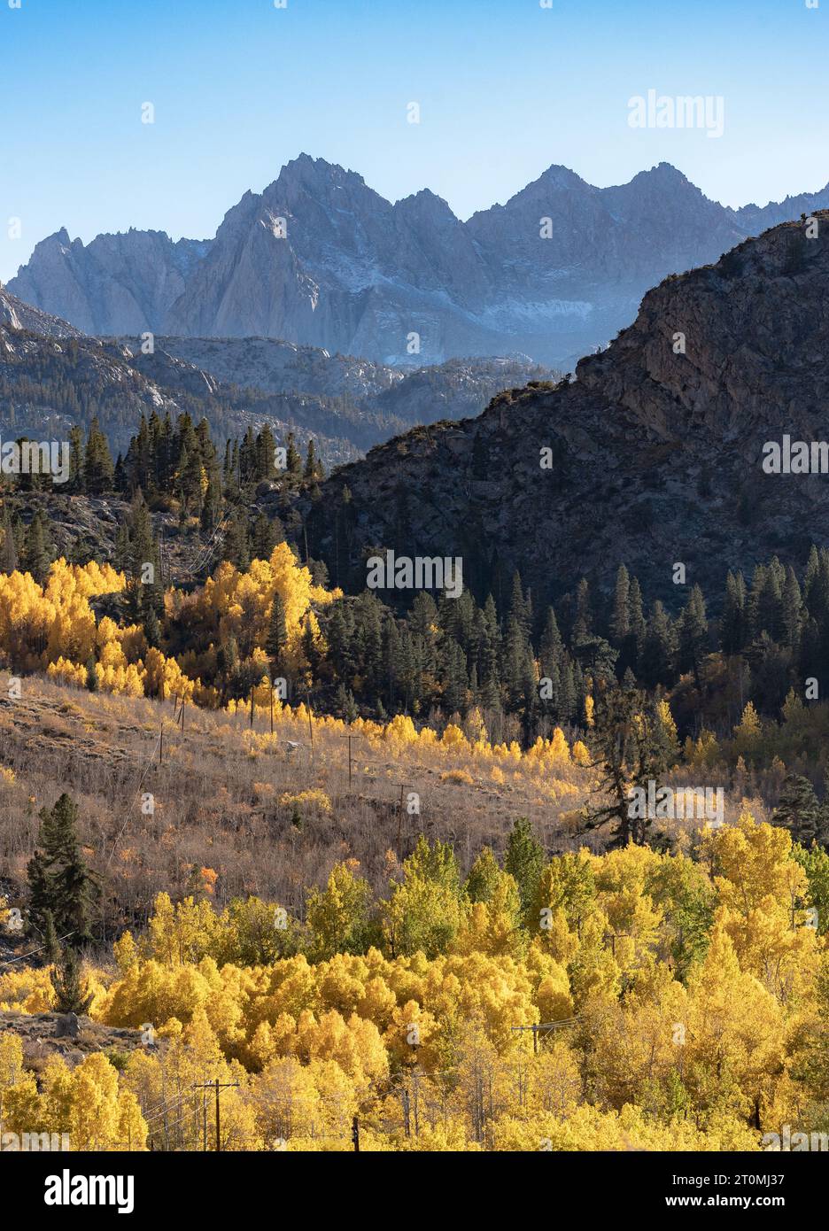 Fall in the Eastern Sierra, California Stock Photo - Alamy