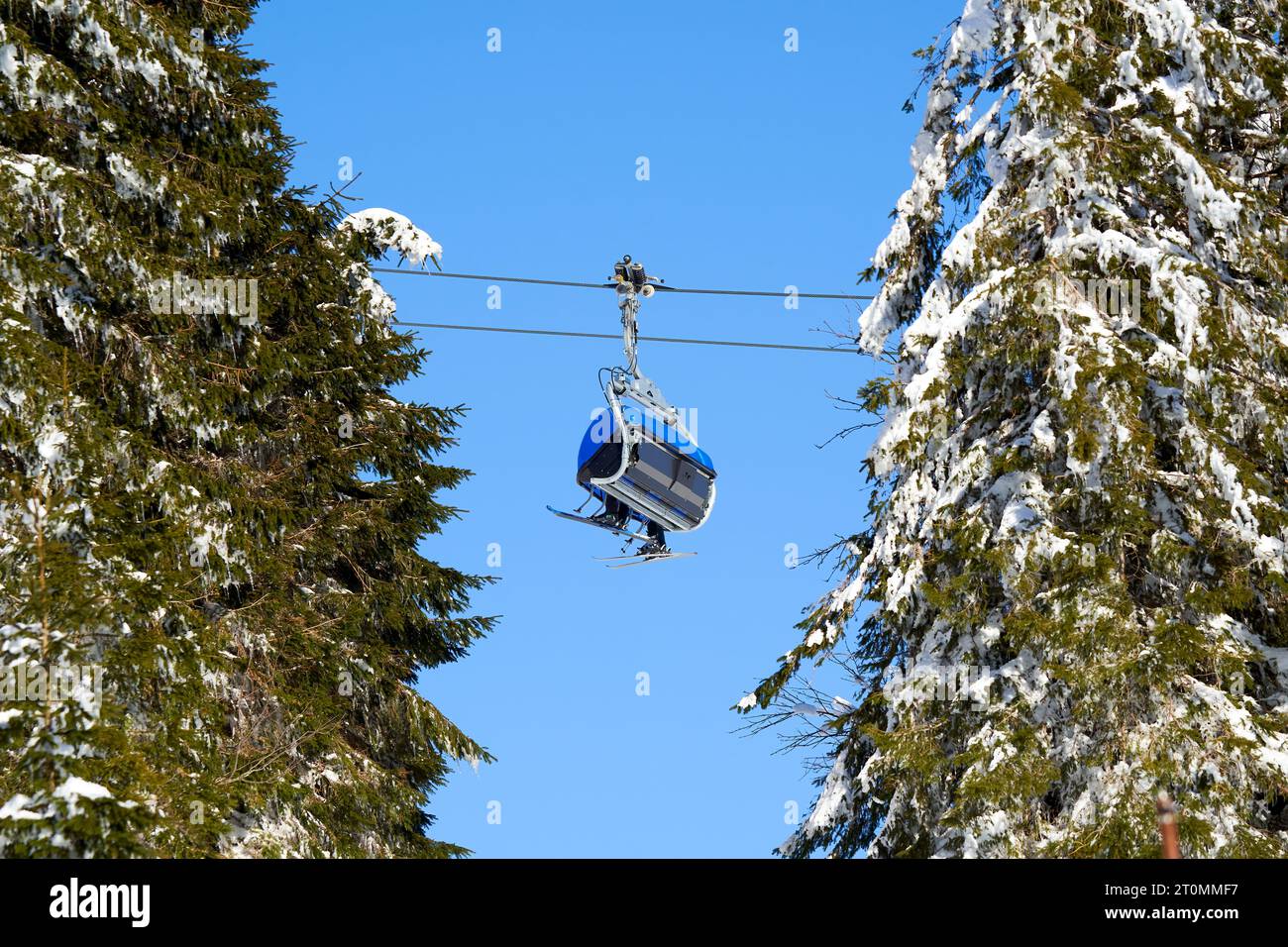 Chairlift operation in Black Forest. Blue gondola between green fir ...