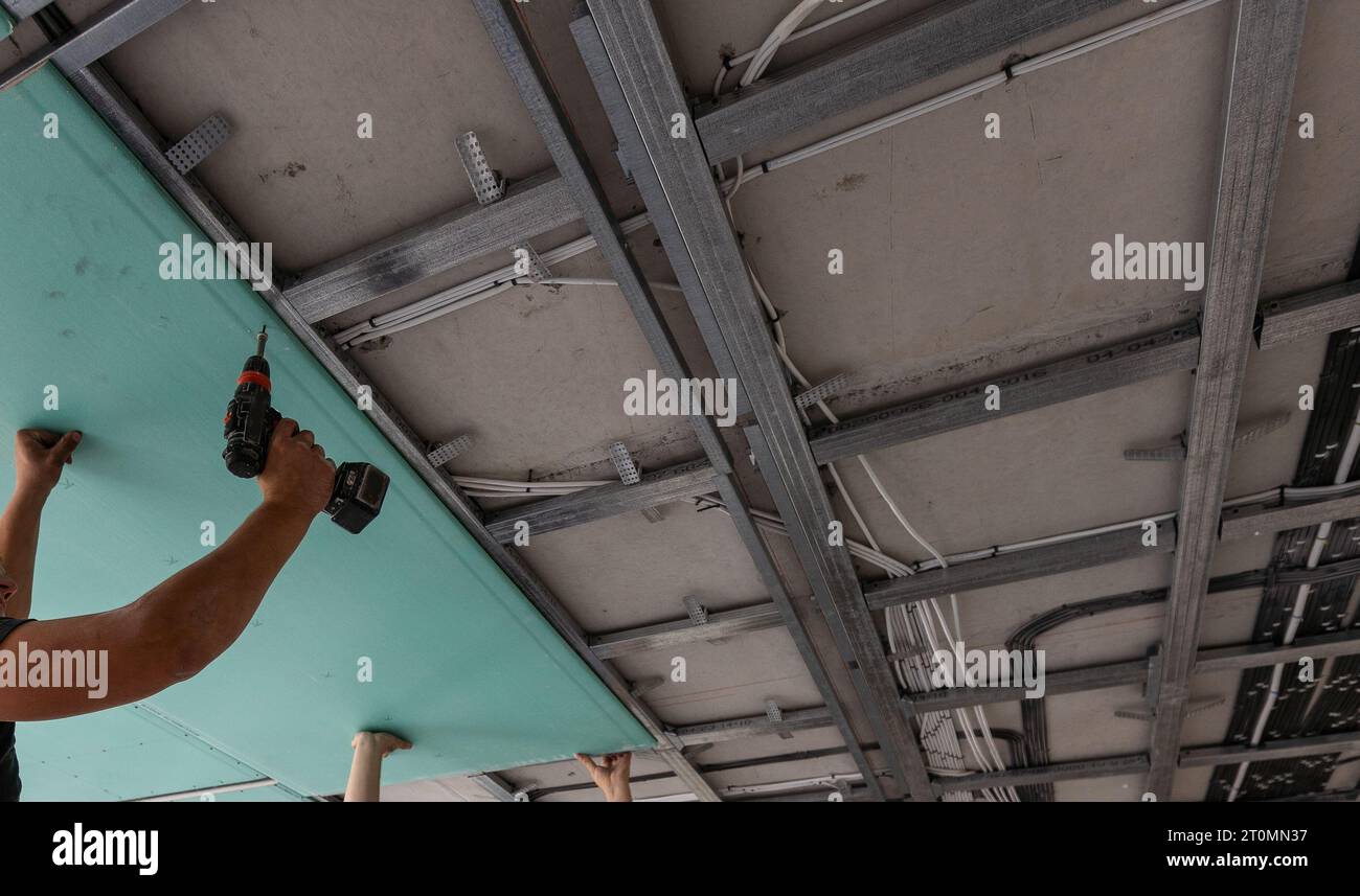 Man assembles profile metal frame for plasterboard ceilings Stock Photo ...