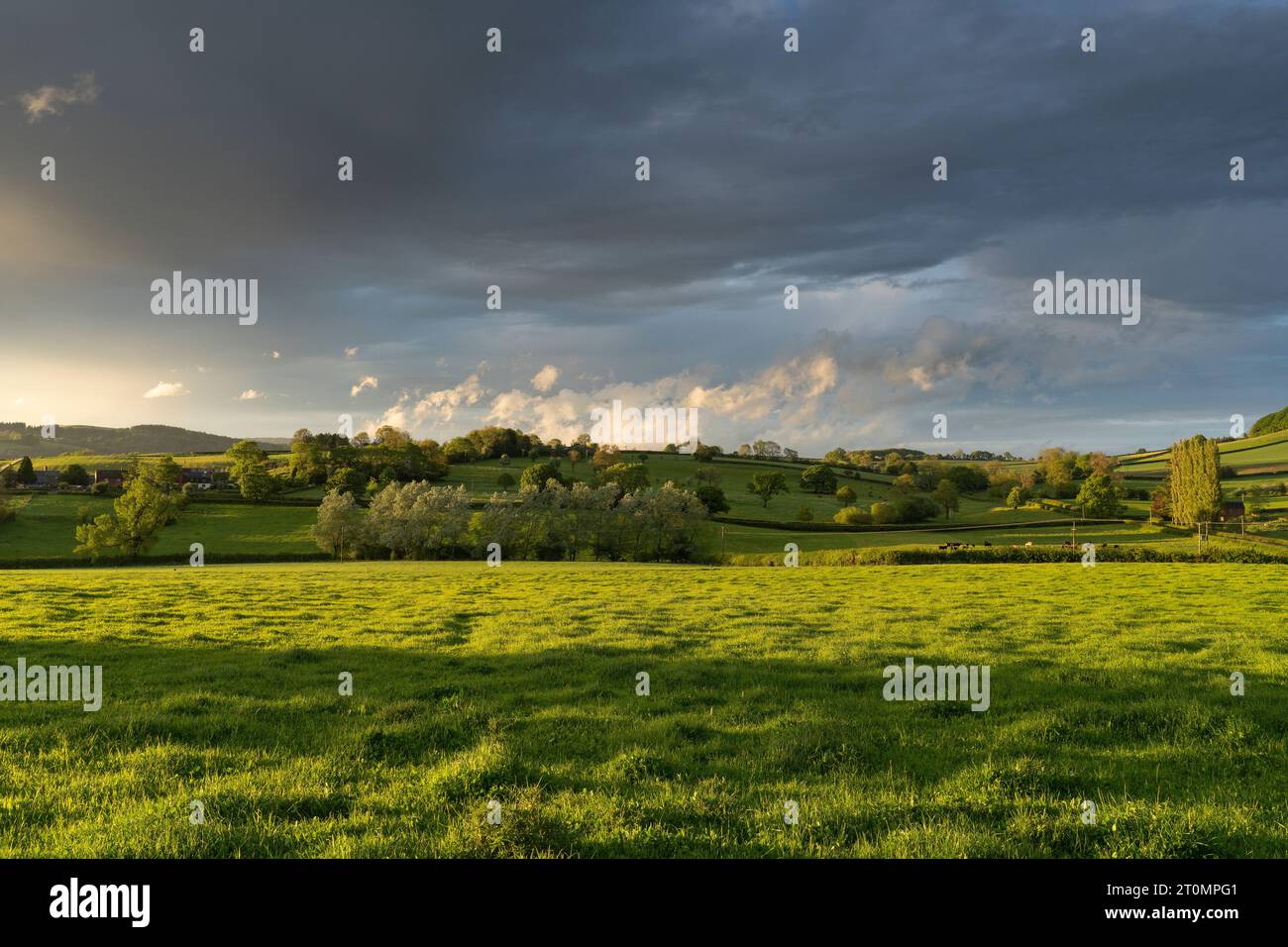 Lovely colour and dramatic light at sunset in the Clun Valley, South ...