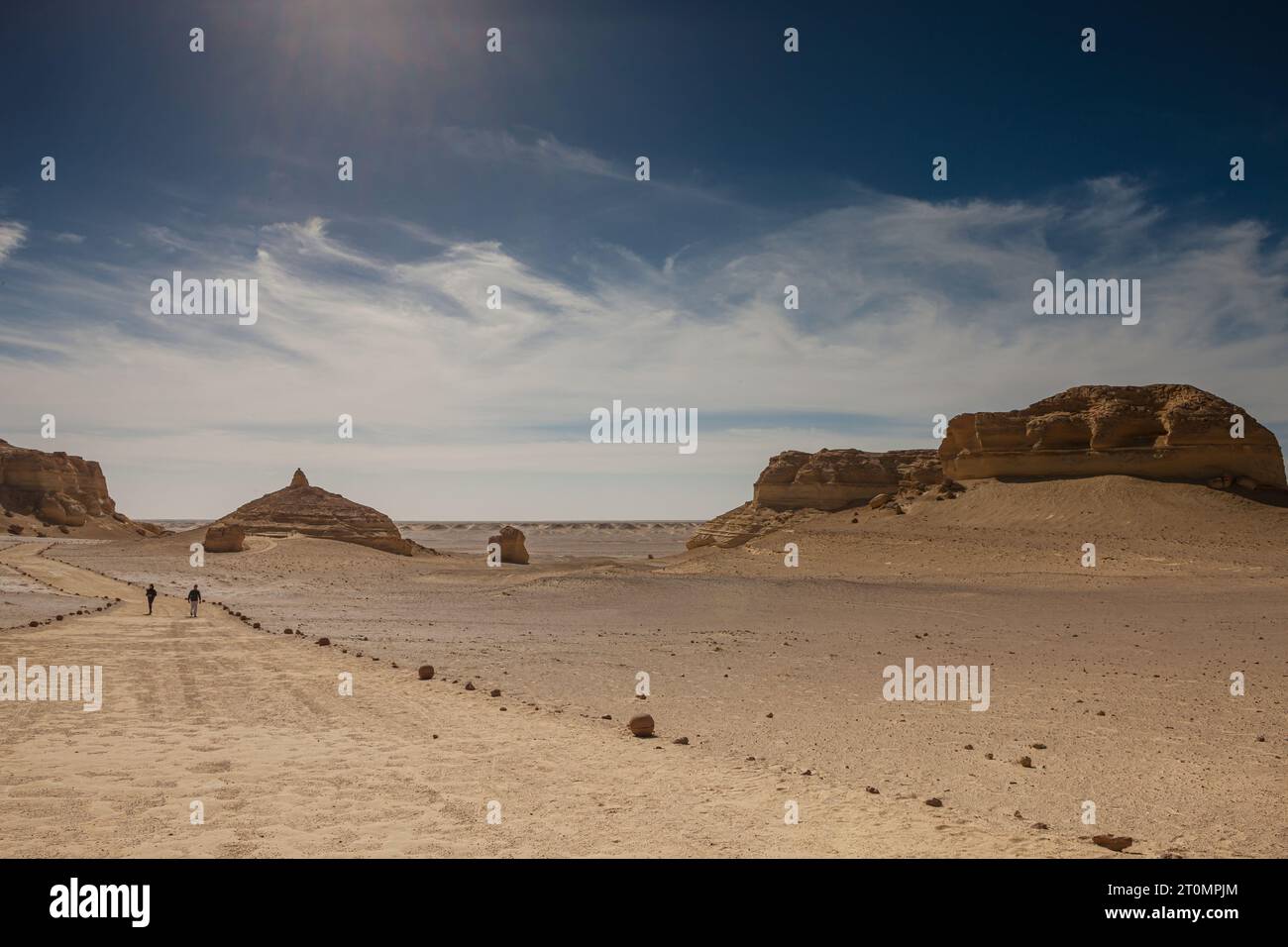 Egypt, Fayoum, Wadi el Hitan, View of the desert around the whale ...