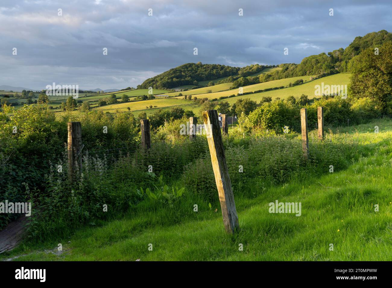 Farmland in the Clun Valley near Craven Arms, Shropshire, UK Stock ...