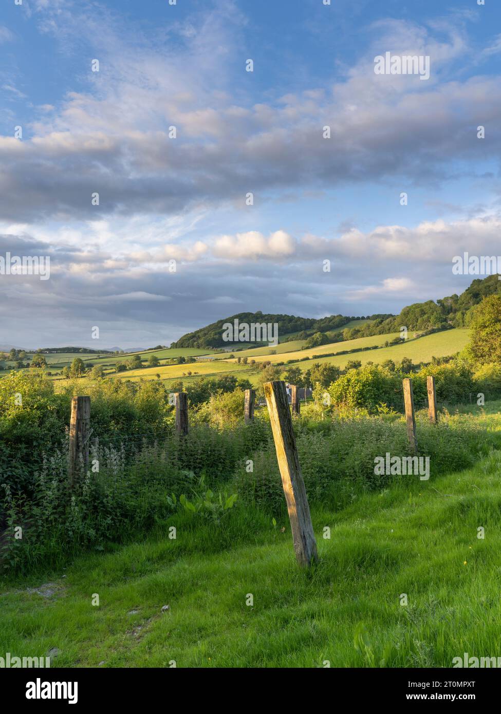 The shropshire way craven arms hi-res stock photography and images - Alamy