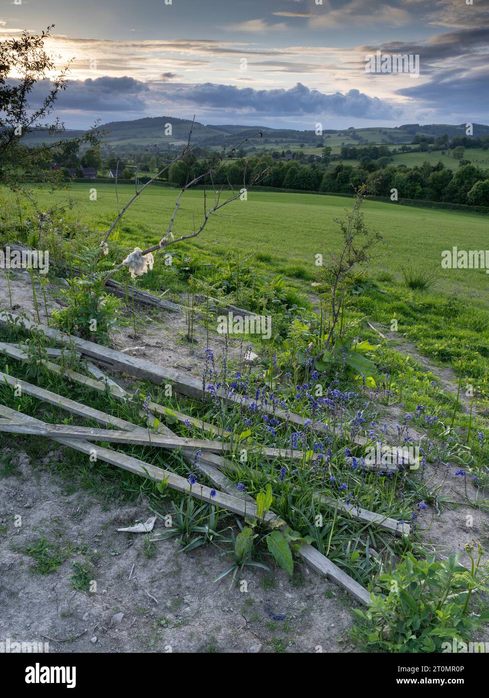 The shropshire way craven arms hi-res stock photography and images - Alamy