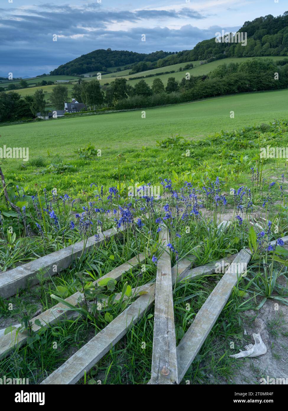 The shropshire way craven arms hi-res stock photography and images - Alamy