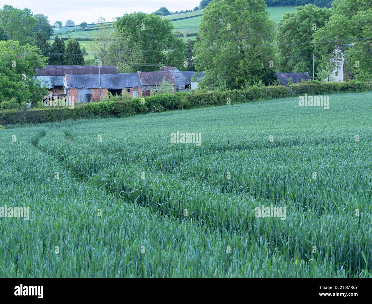 Farmland in the Clun Valley near Craven Arms, Shropshire, UK Stock ...