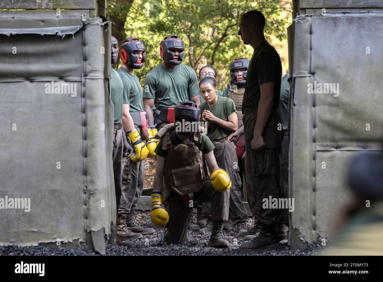 Three female U.S. Marine Corps recruits stand behind a fourth female ...