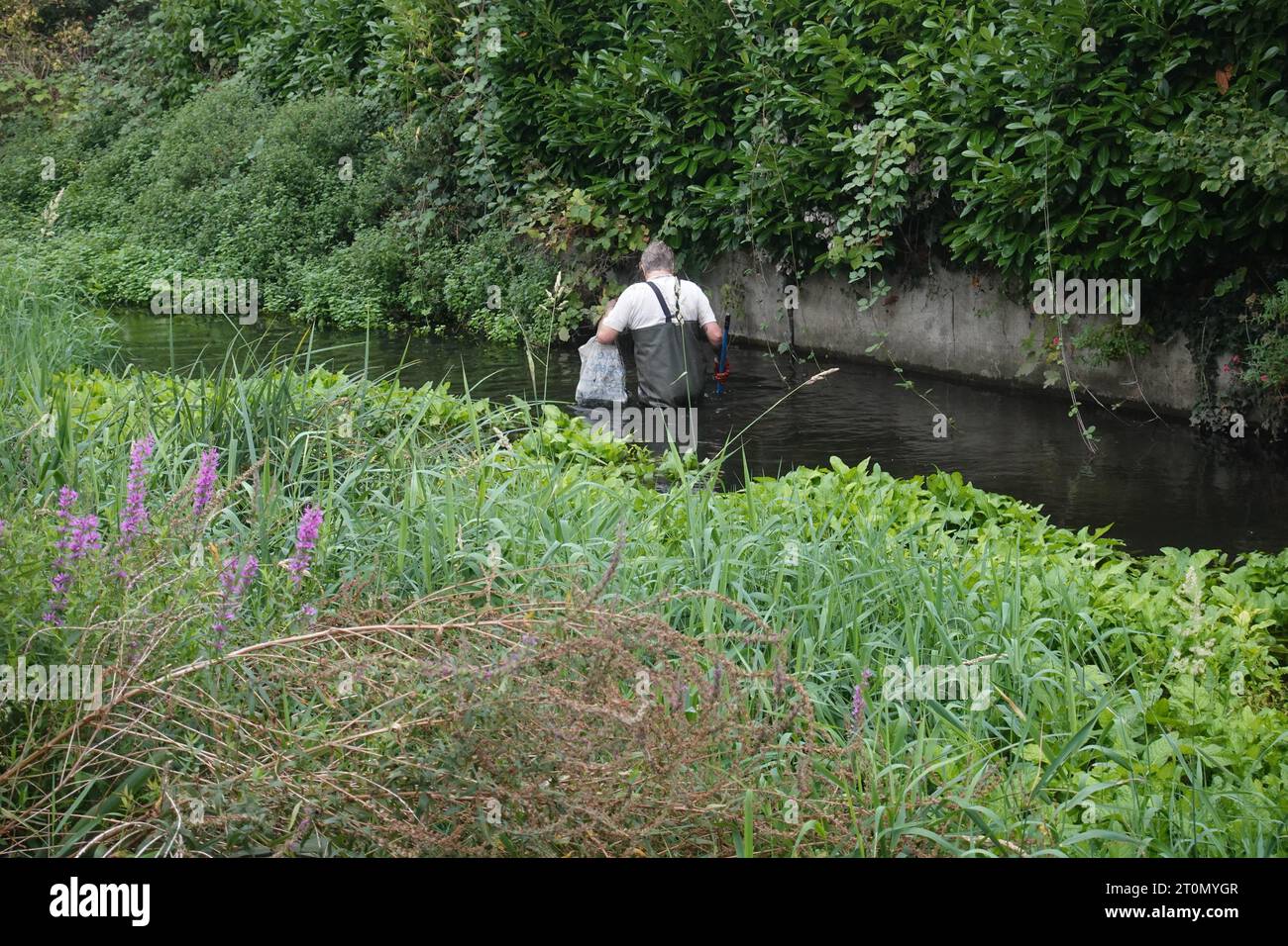Cleaning the rivers and streams alone Stock Photo - Alamy