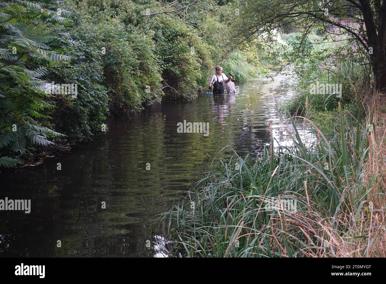 Cleaning the rivers and streams alone Stock Photo - Alamy