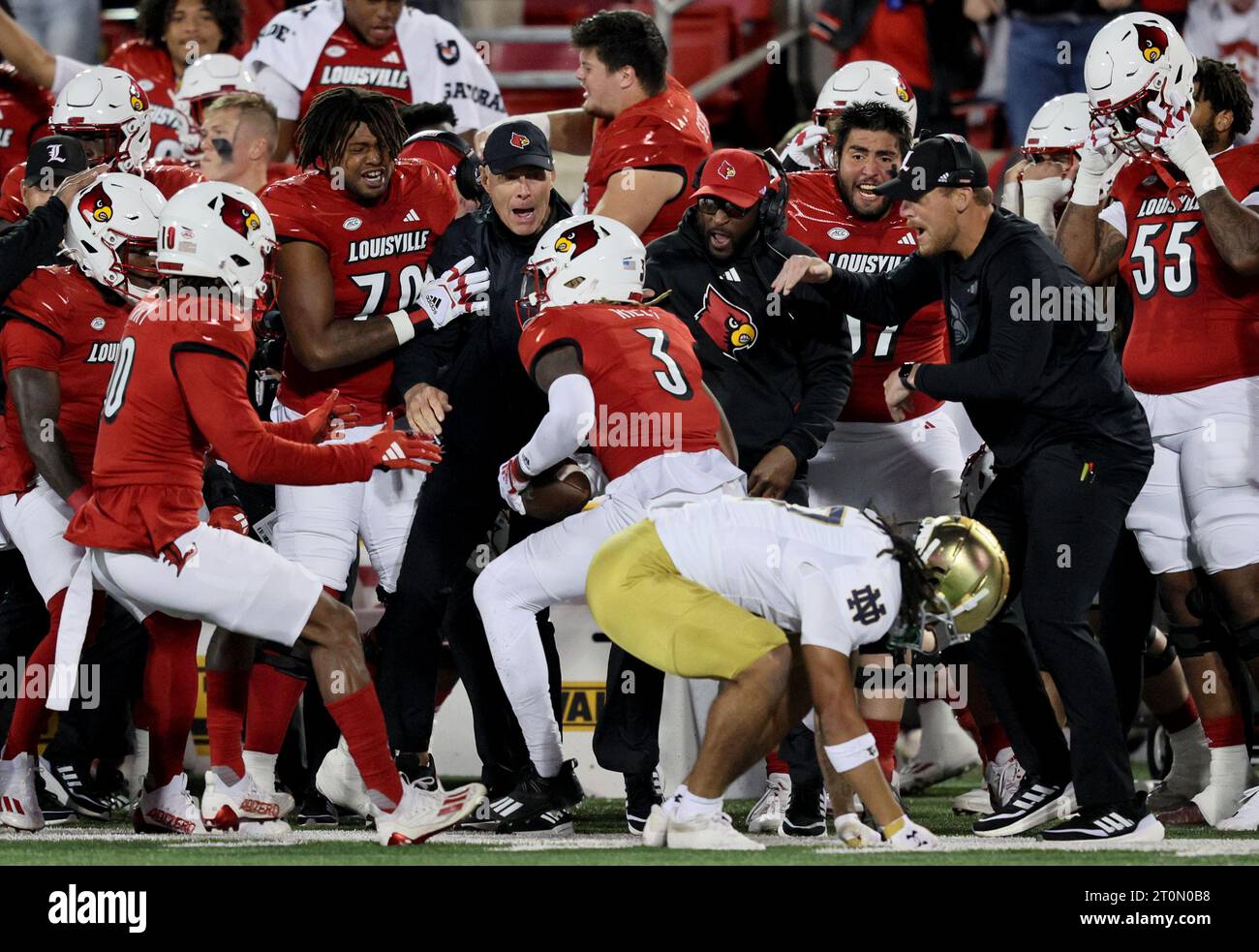 University of Louisville Quincy Riley (3) celebrates after catching an ...