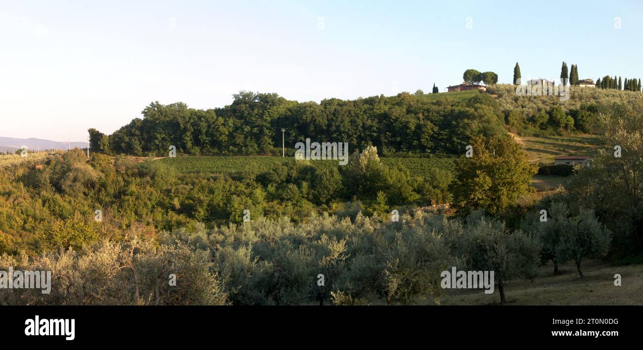 Agricultural landscape of Montespertoli, Florence in Tuscany Stock ...