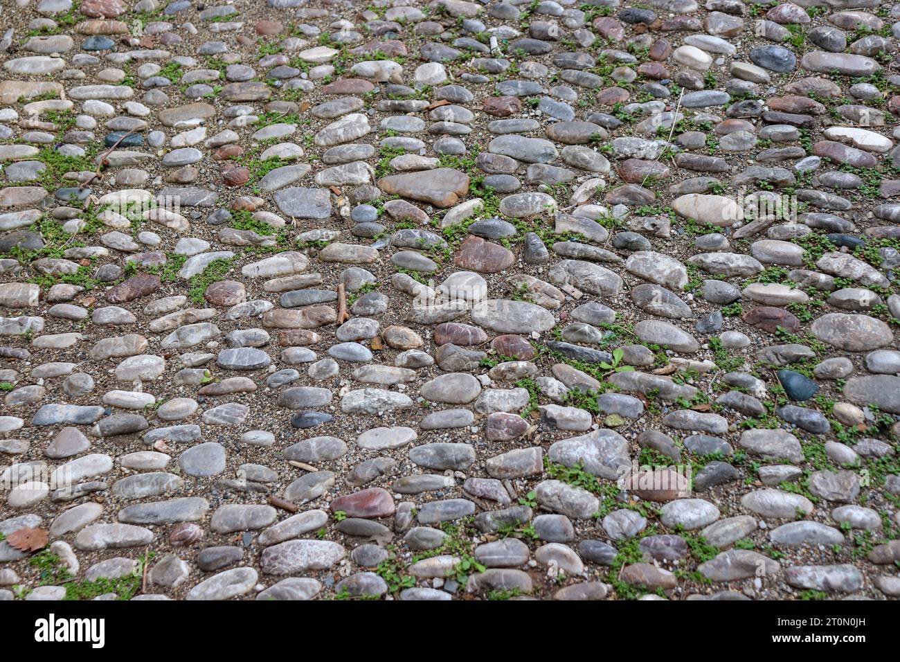 Abstract background of round cobblestone rocks walking path with grass ...