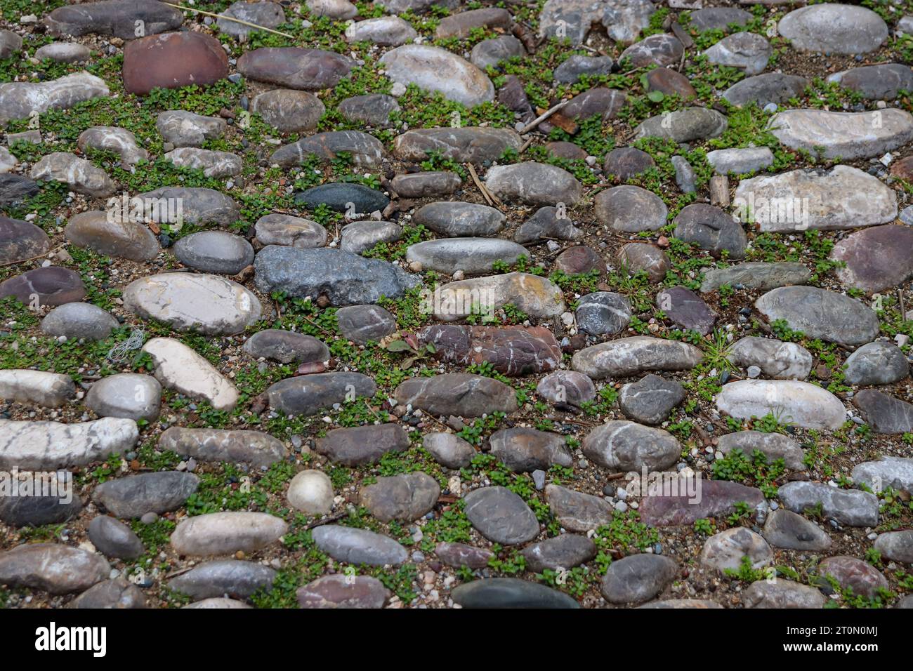 Abstract background of round cobblestone rocks walking path with grass ...