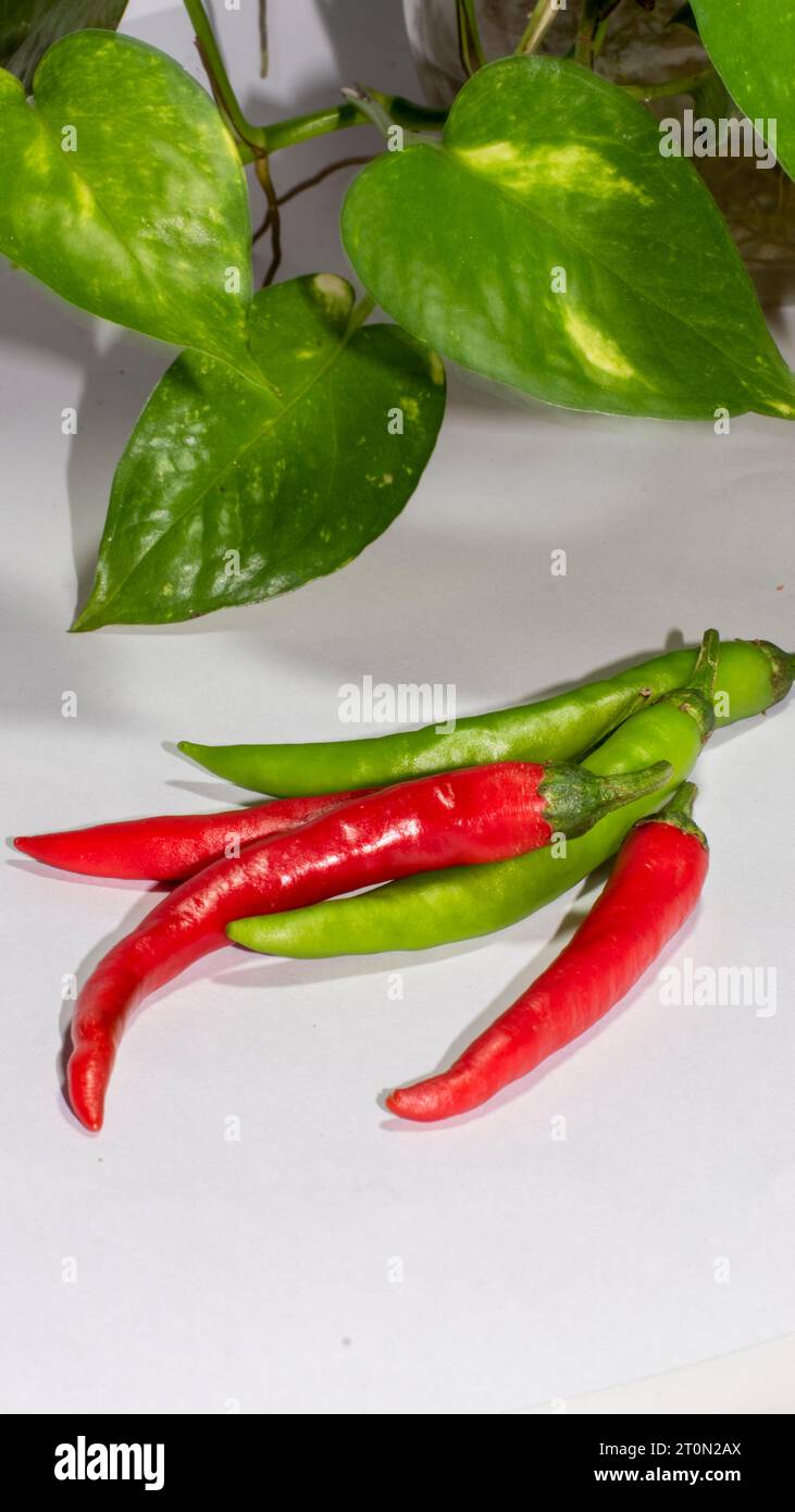 Indian spicy feed hi-res stock photography and images - Alamy