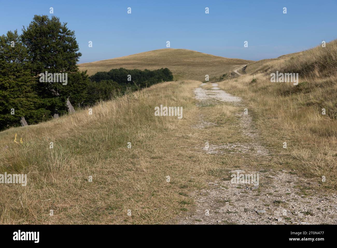 Landscape of a rural area with a little path Stock Photo - Alamy