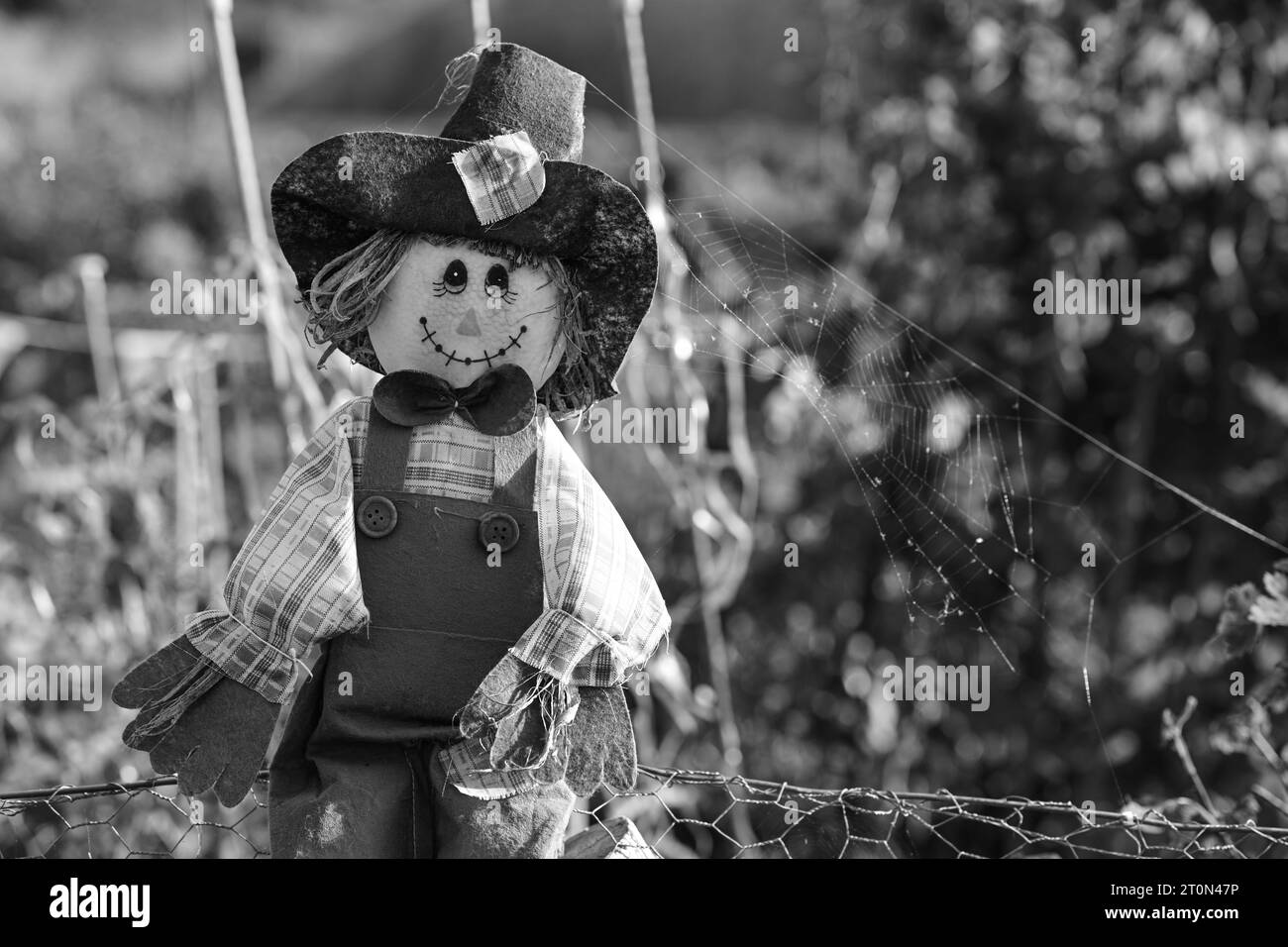 Allotment scarecrow Black and White Stock Photos & Images - Alamy