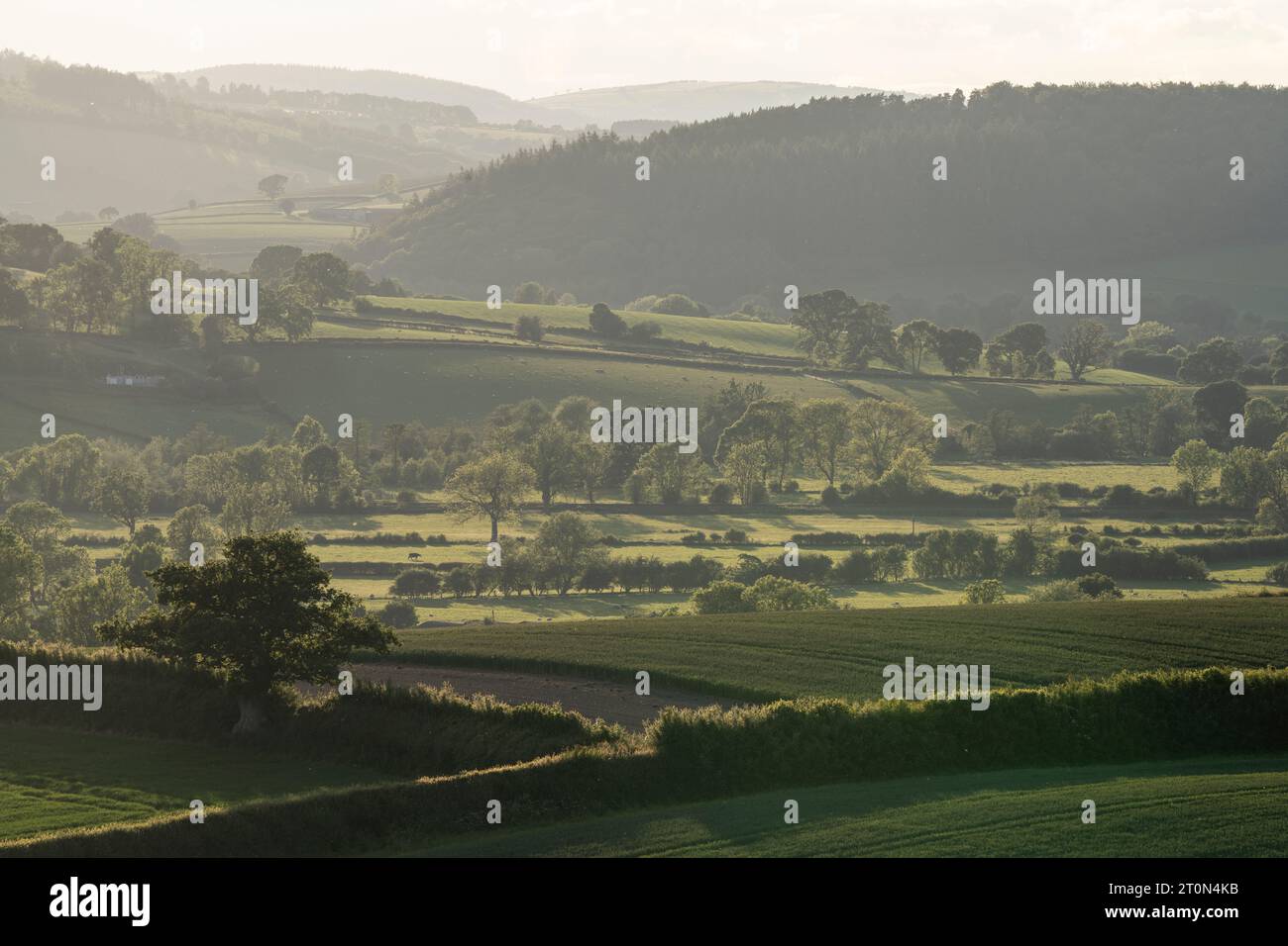 The shropshire way craven arms hi-res stock photography and images - Alamy