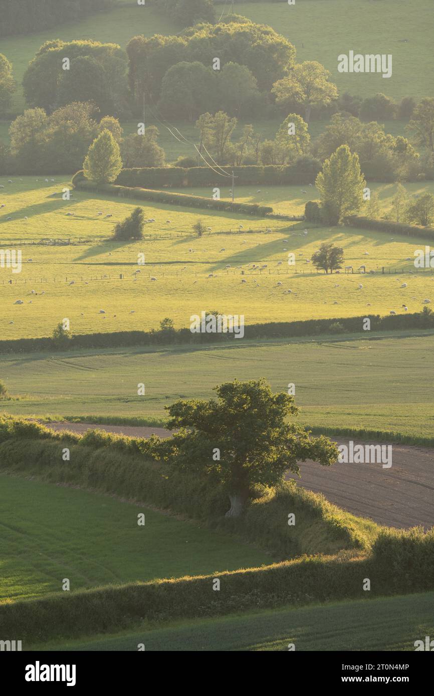 The shropshire way craven arms hi-res stock photography and images - Alamy