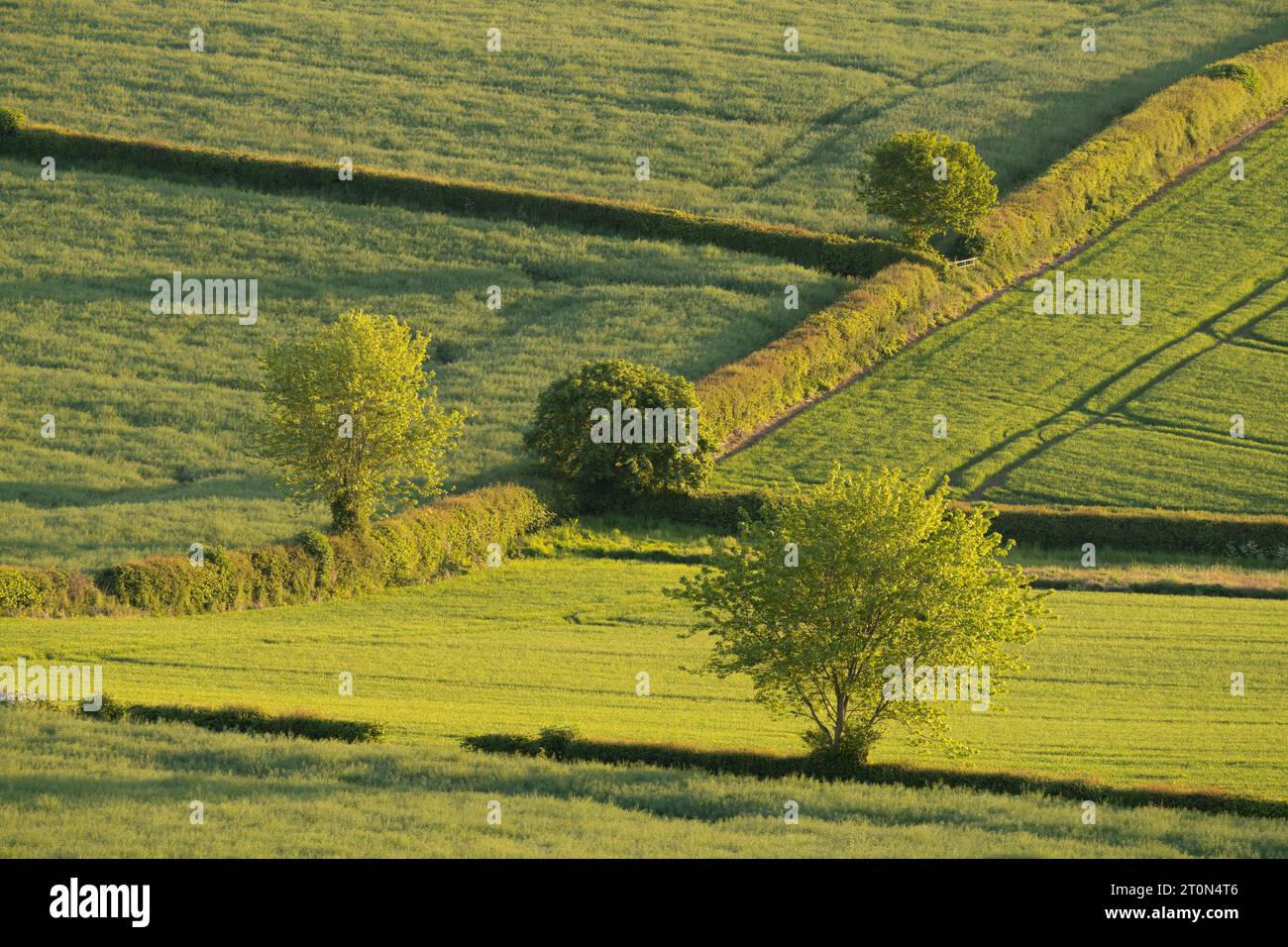 The shropshire way craven arms hi-res stock photography and images - Alamy