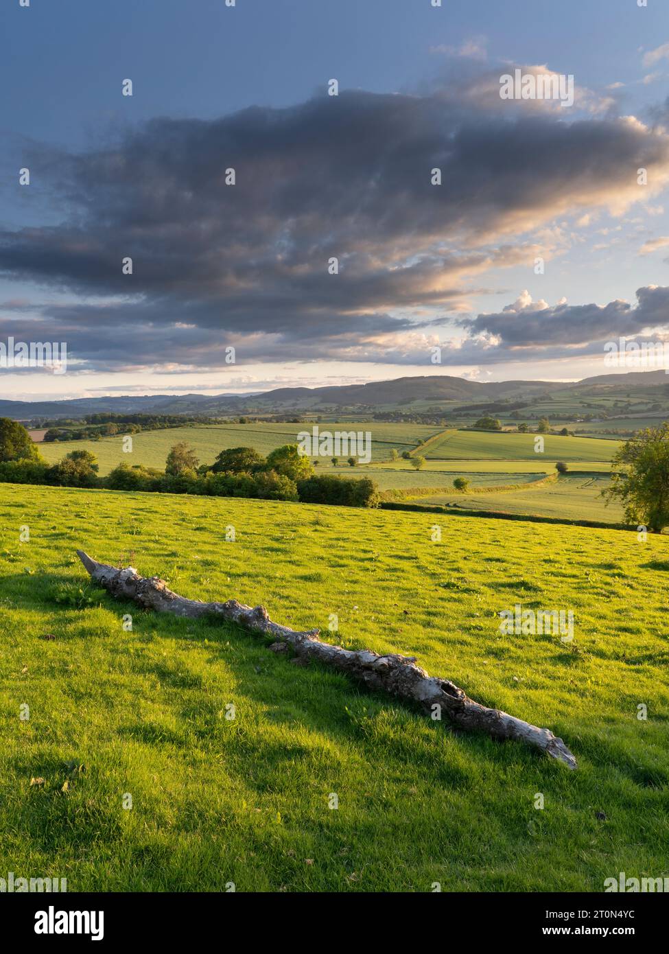 Lovely colour and dramatic light at sunset in the Clun Valley, South ...