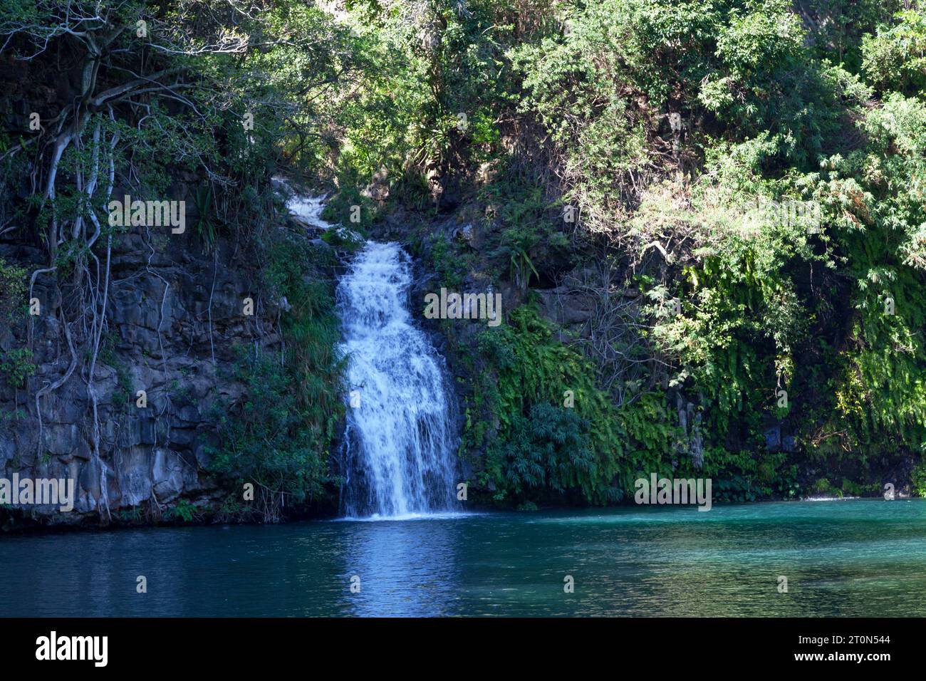 Cormoran basin hi-res stock photography and images - Alamy