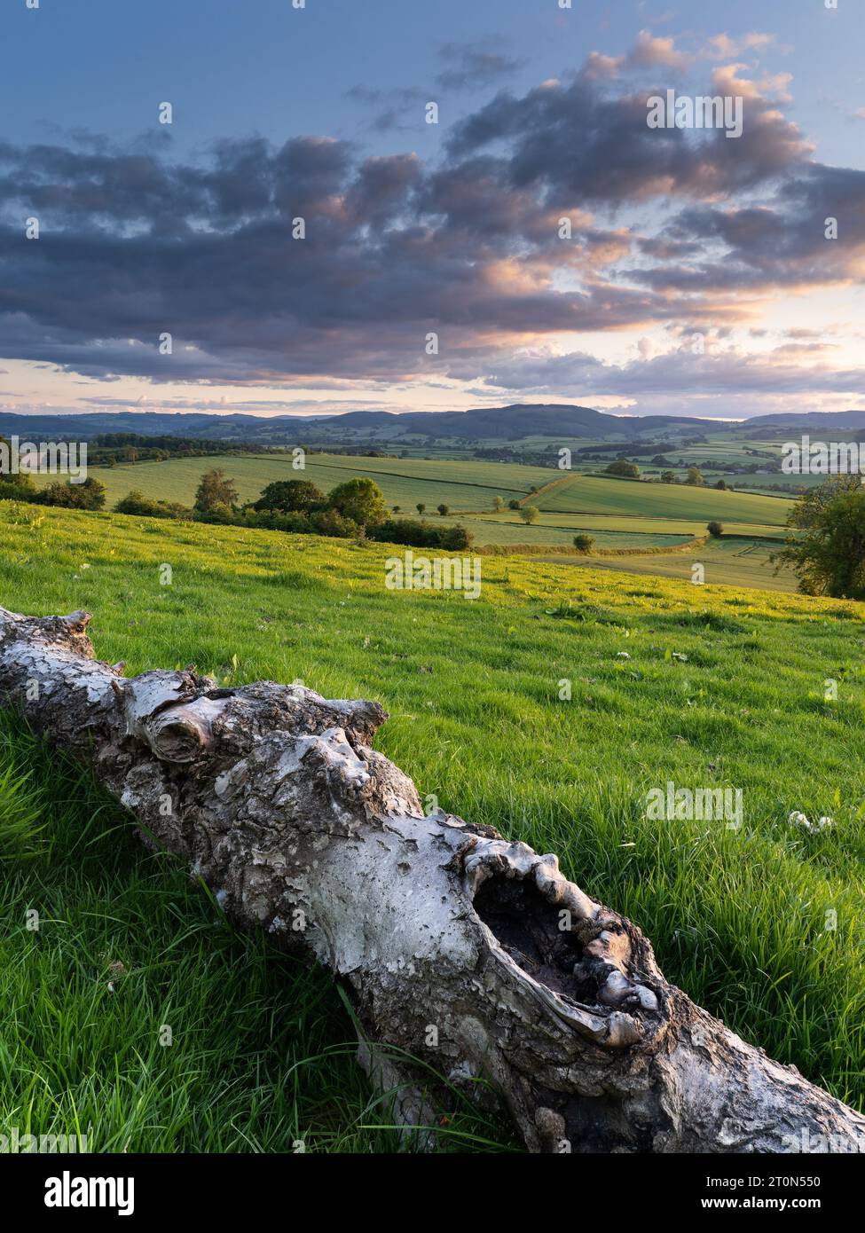 Lovely colour and dramatic light at sunset in the Clun Valley, South ...
