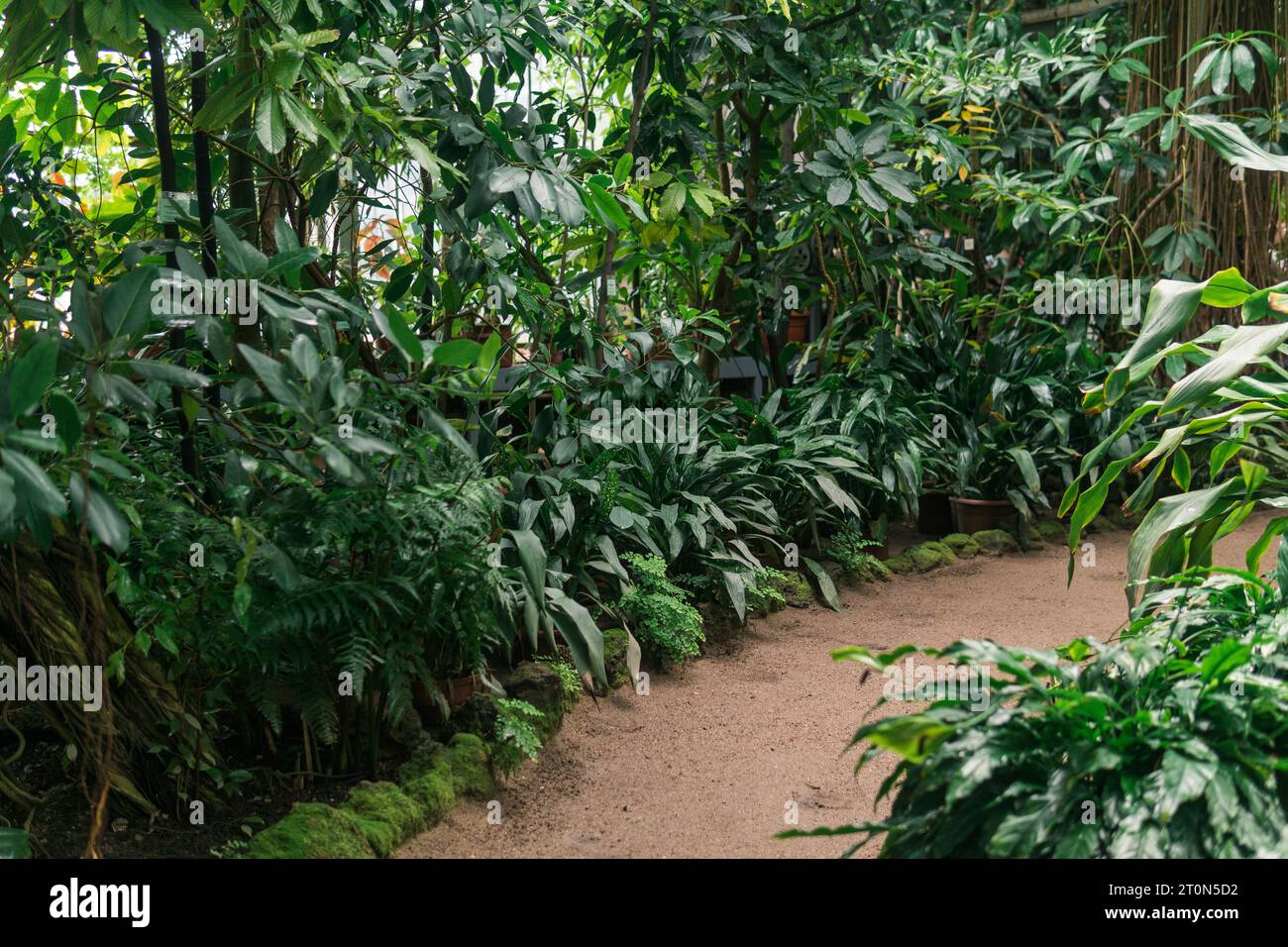 Indoor display tropical plants hi-res stock photography and images - Alamy