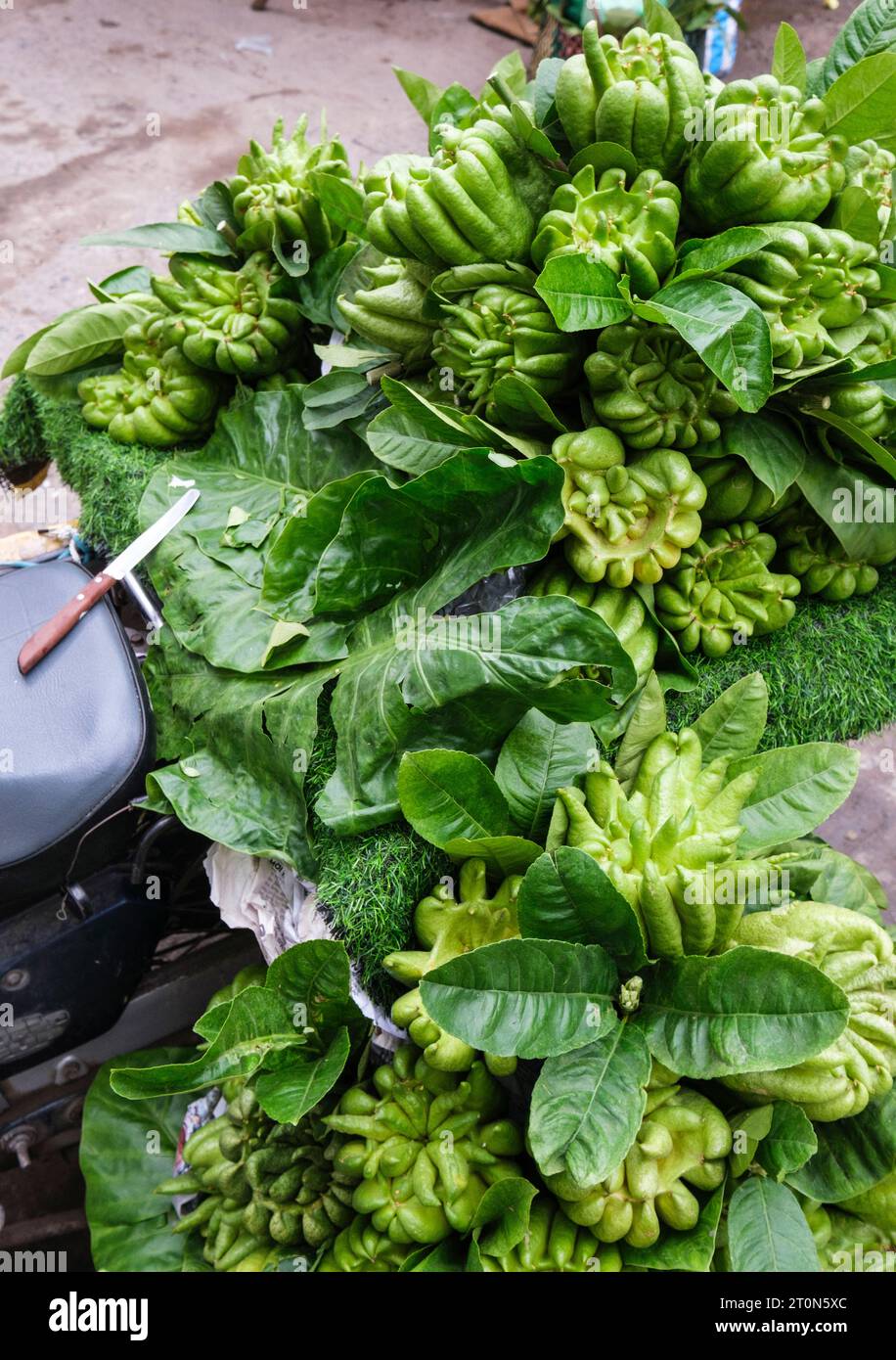 Hanoi, Vietnam. Citrus Medica, Buddha's Fingers, en Route to Market ...