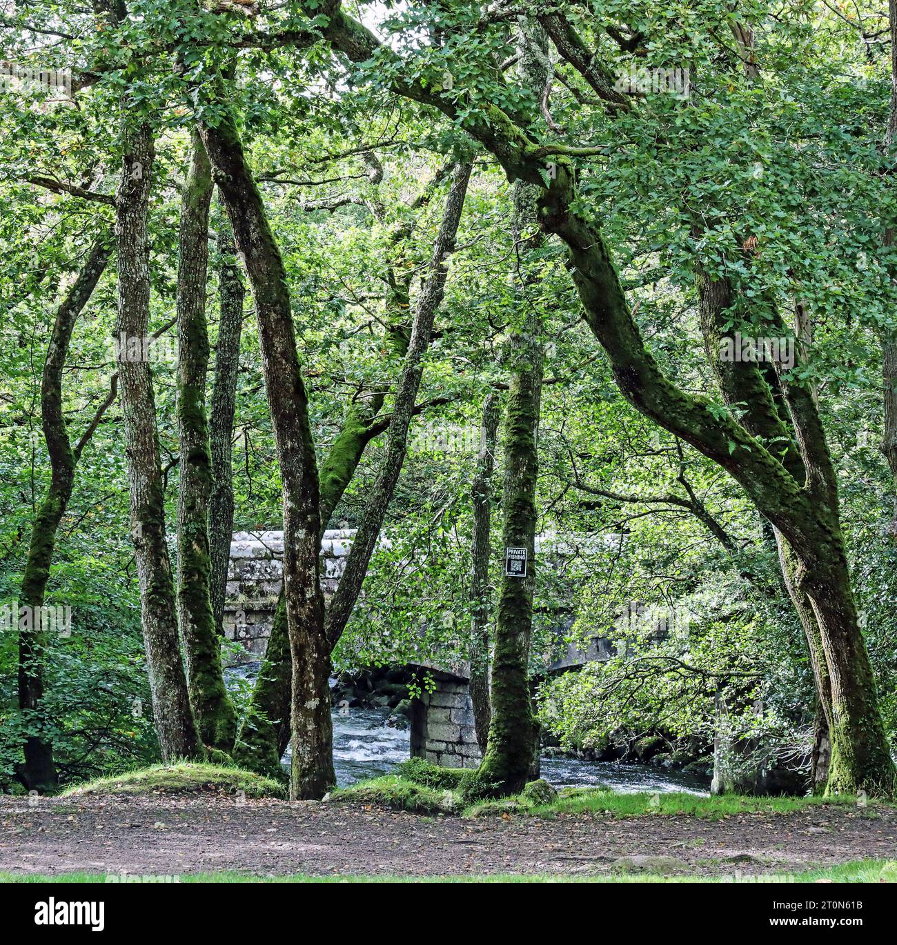 Plym stone hi-res stock photography and images - Alamy