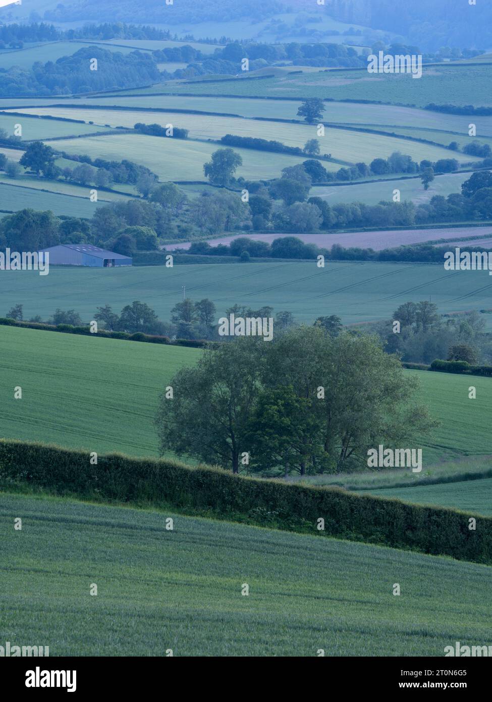 The shropshire way craven arms hi-res stock photography and images - Alamy