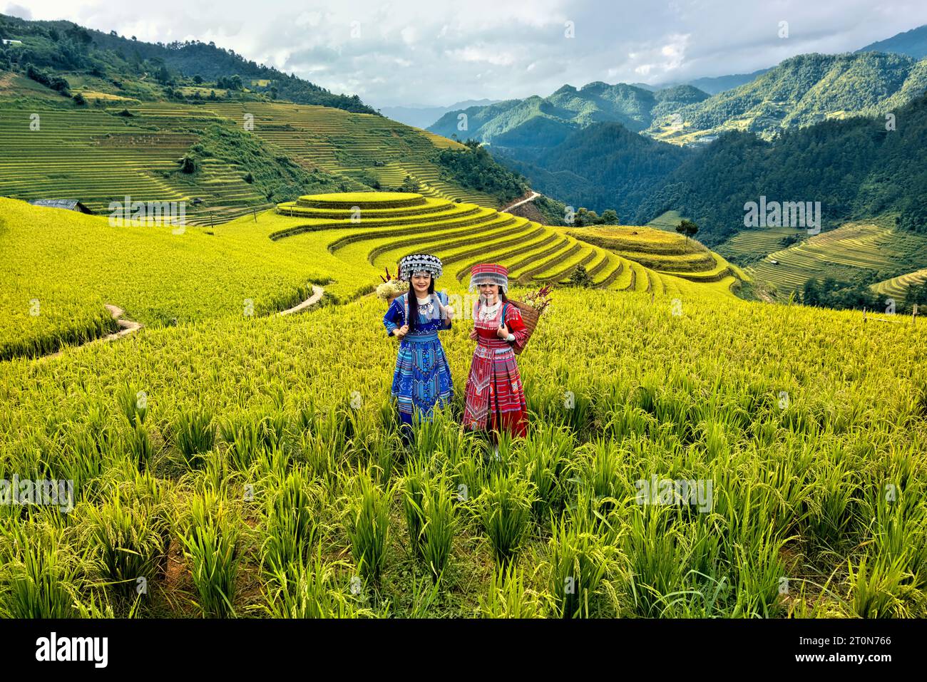 Admiring the amazing rice terraces of Mu Cang Chai, Yen Bai, Vietnam ...
