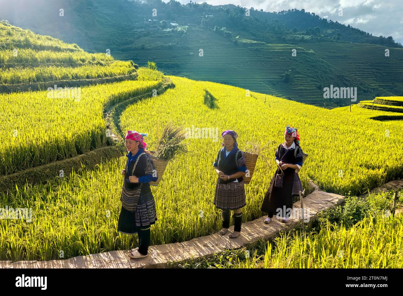 Flower Hmong women in the rice terraces of Mu Cang Chai, Yen Bai ...