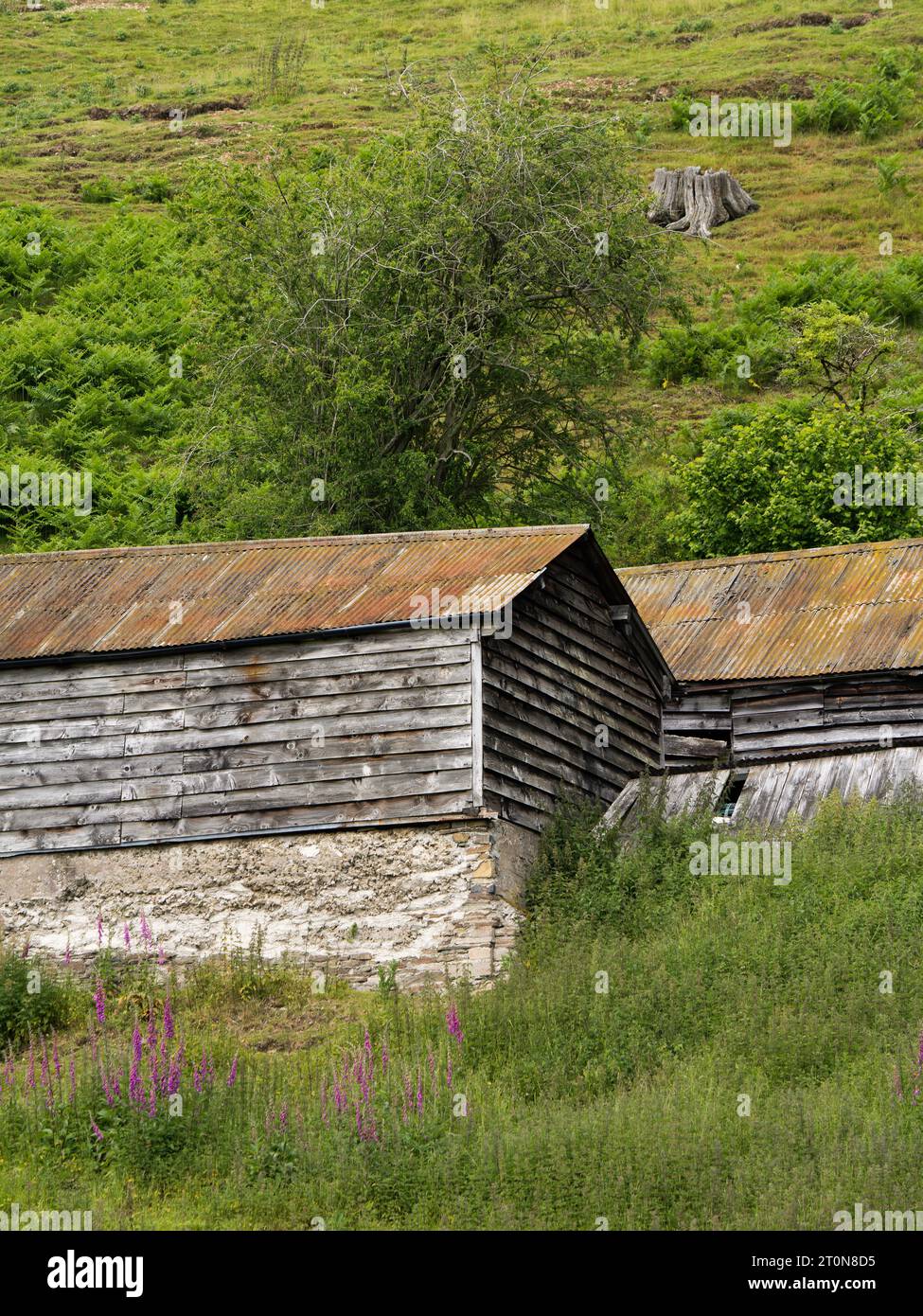 English barn door hi-res stock photography and images - Alamy