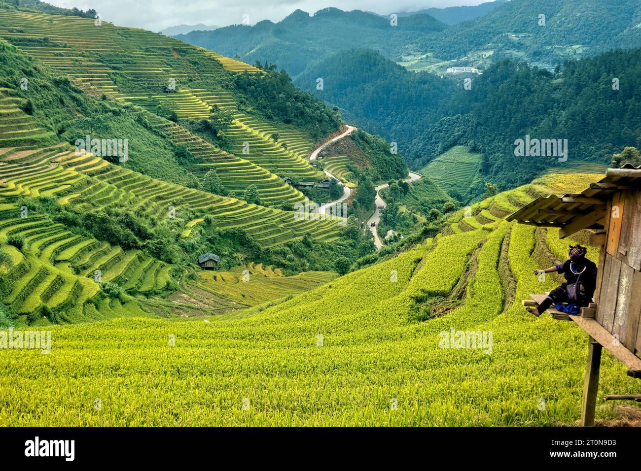 Flower Hmong woman sewing above the rice terraces of Mu Cang Chai, Yen ...