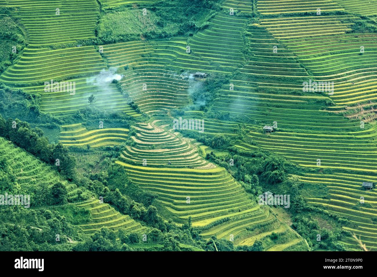 The amazing rice terraces of Mu Cang Chai, Yen Bai, Vietnam Stock Photo ...