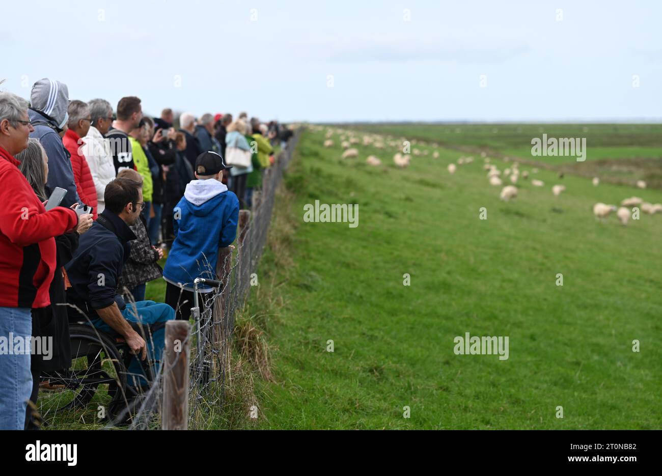 Dorum, Germany. 08th Oct, 2023. Numerous spectators watch the spectacle ...
