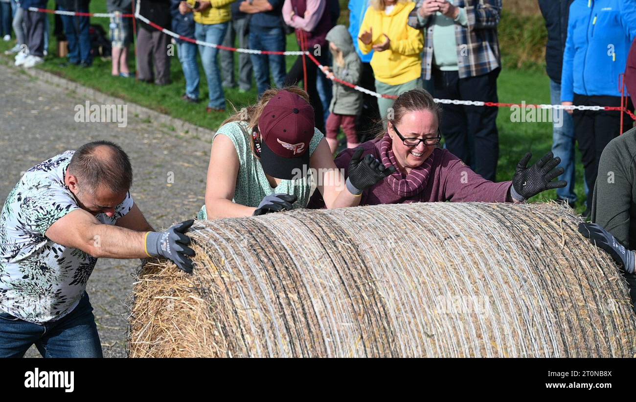 Dorum, Germany. 08th Oct, 2023. The round bale is rolled up the dike 80 ...