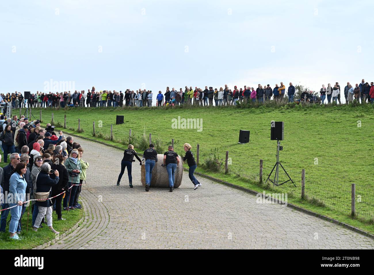 Dorum, Germany. 08th Oct, 2023. The round bale is rolled up the dike 80 ...
