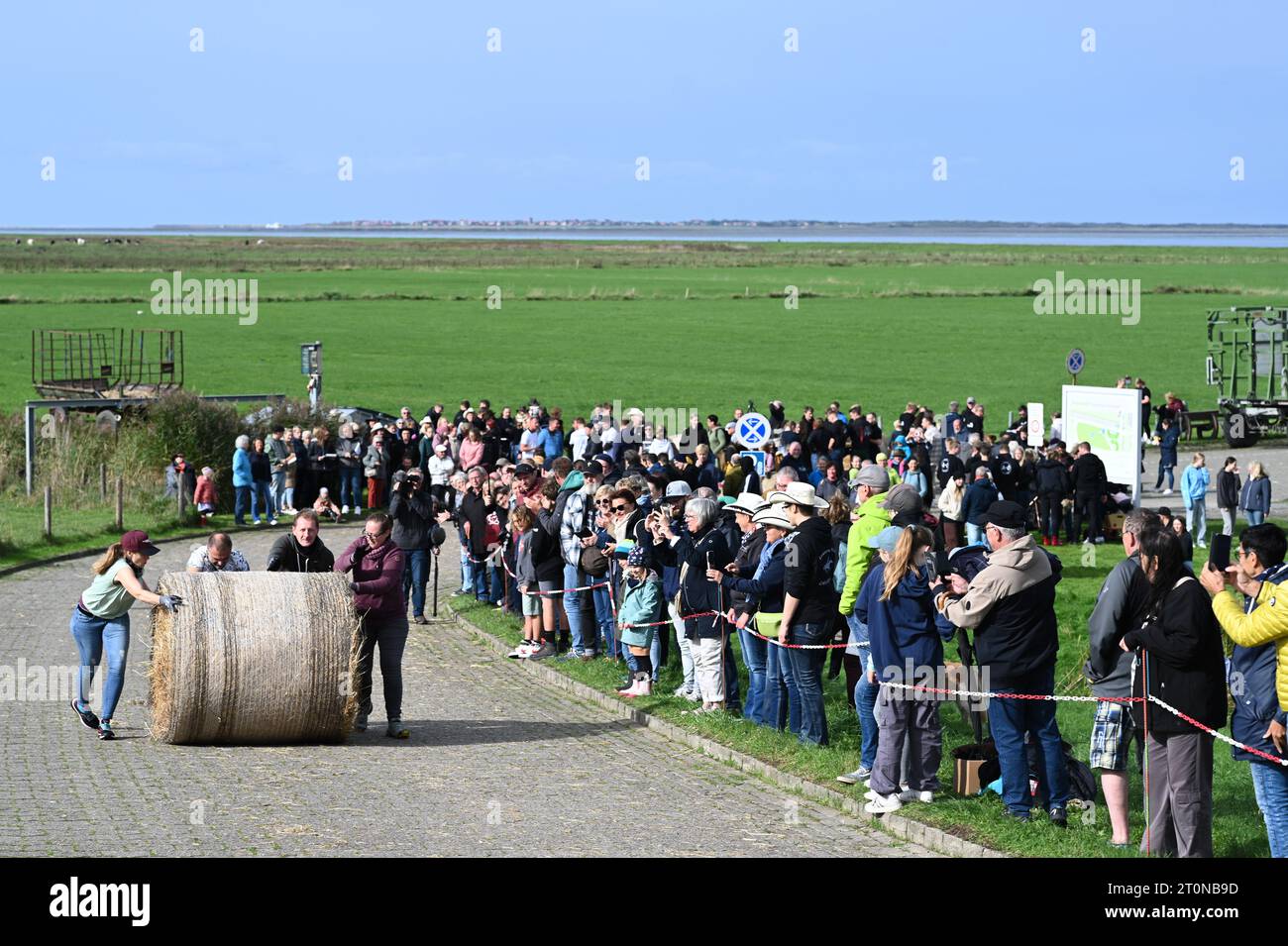 Dorum, Germany. 08th Oct, 2023. The round bale is rolled up the dike 80 ...