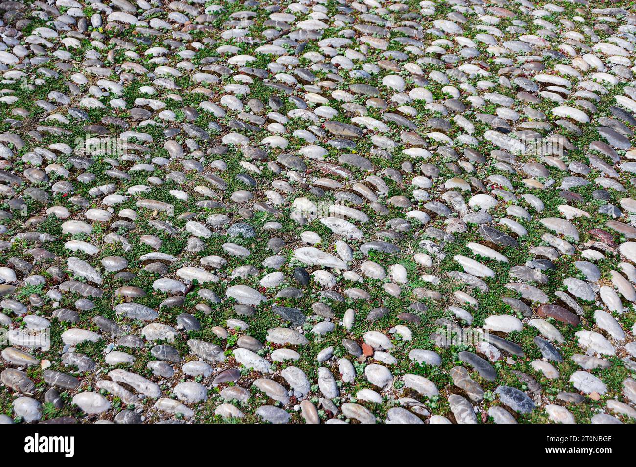 Abstract background of round cobblestone rocks walking path with grass ...