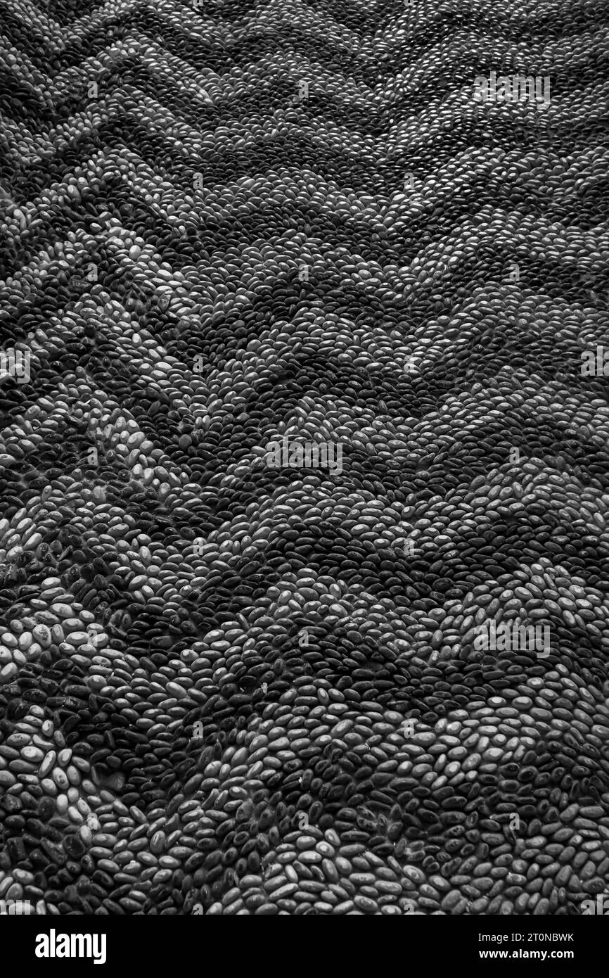 Round cobblestone rocks creating a chevron pattern walking path in The ...