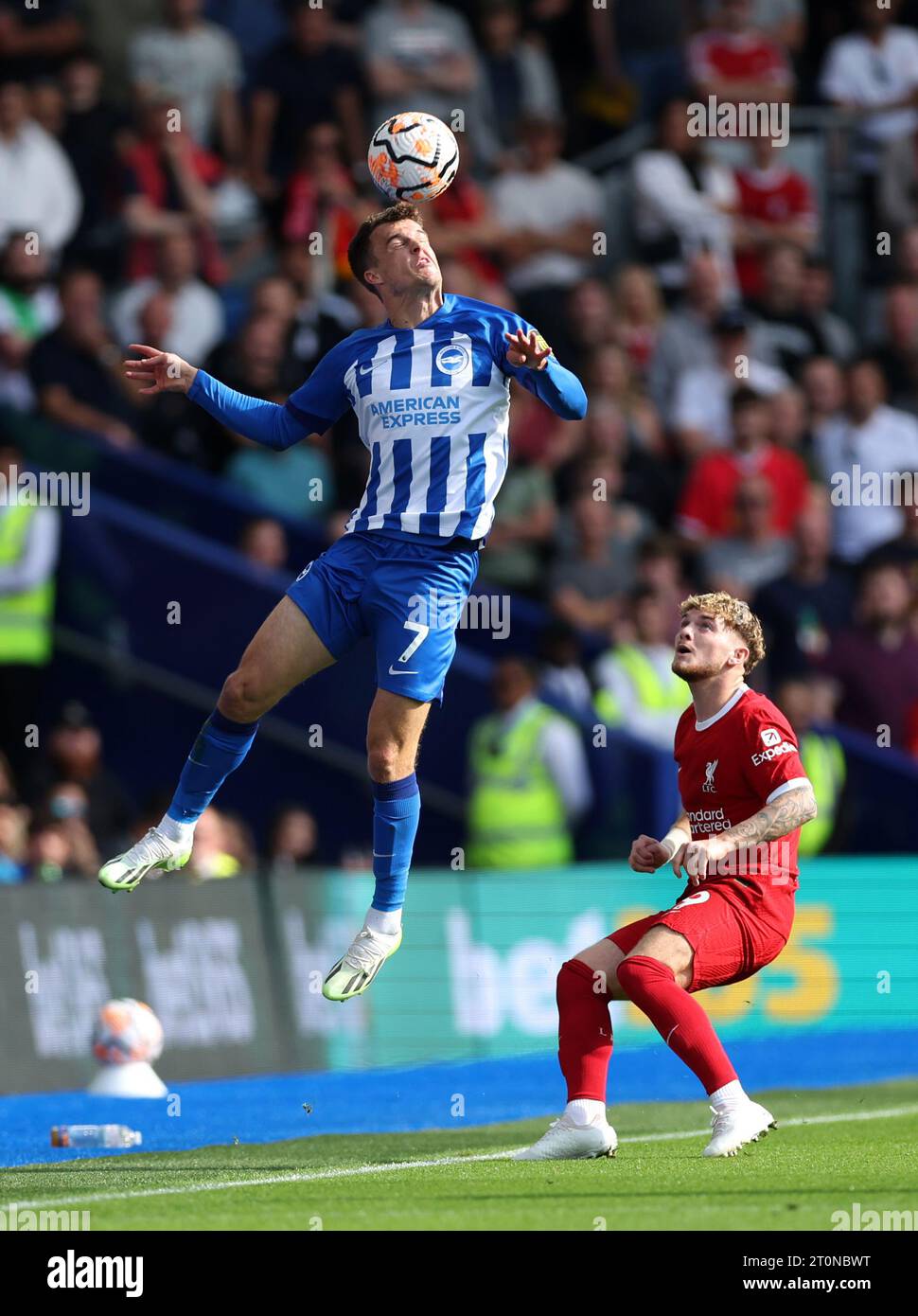Brighton and Hove Albion's Solly March (left) and Liverpool's Harvey ...