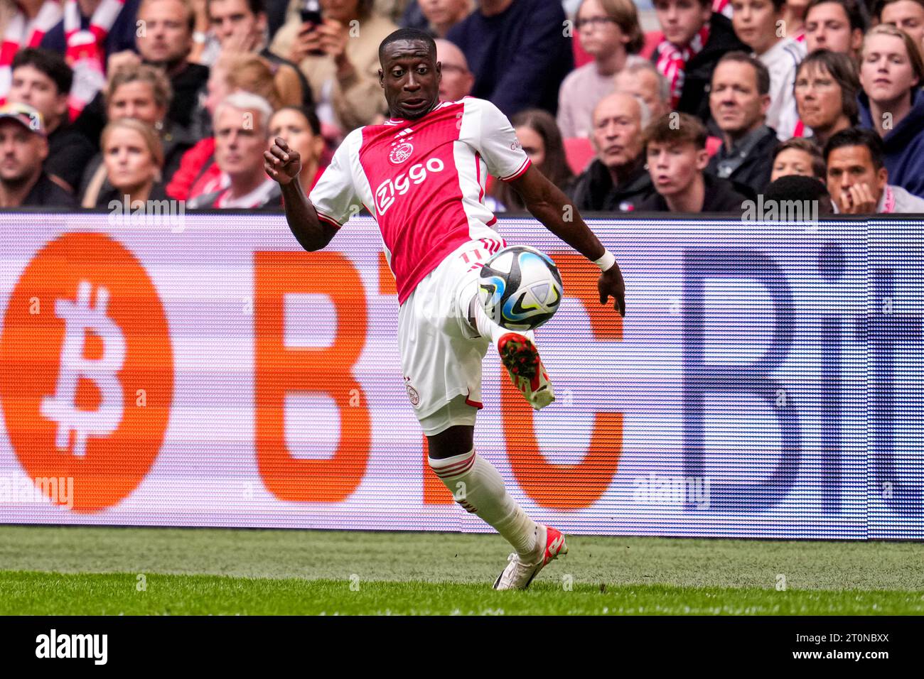 Forbs hi-res stock photography and images - Alamy