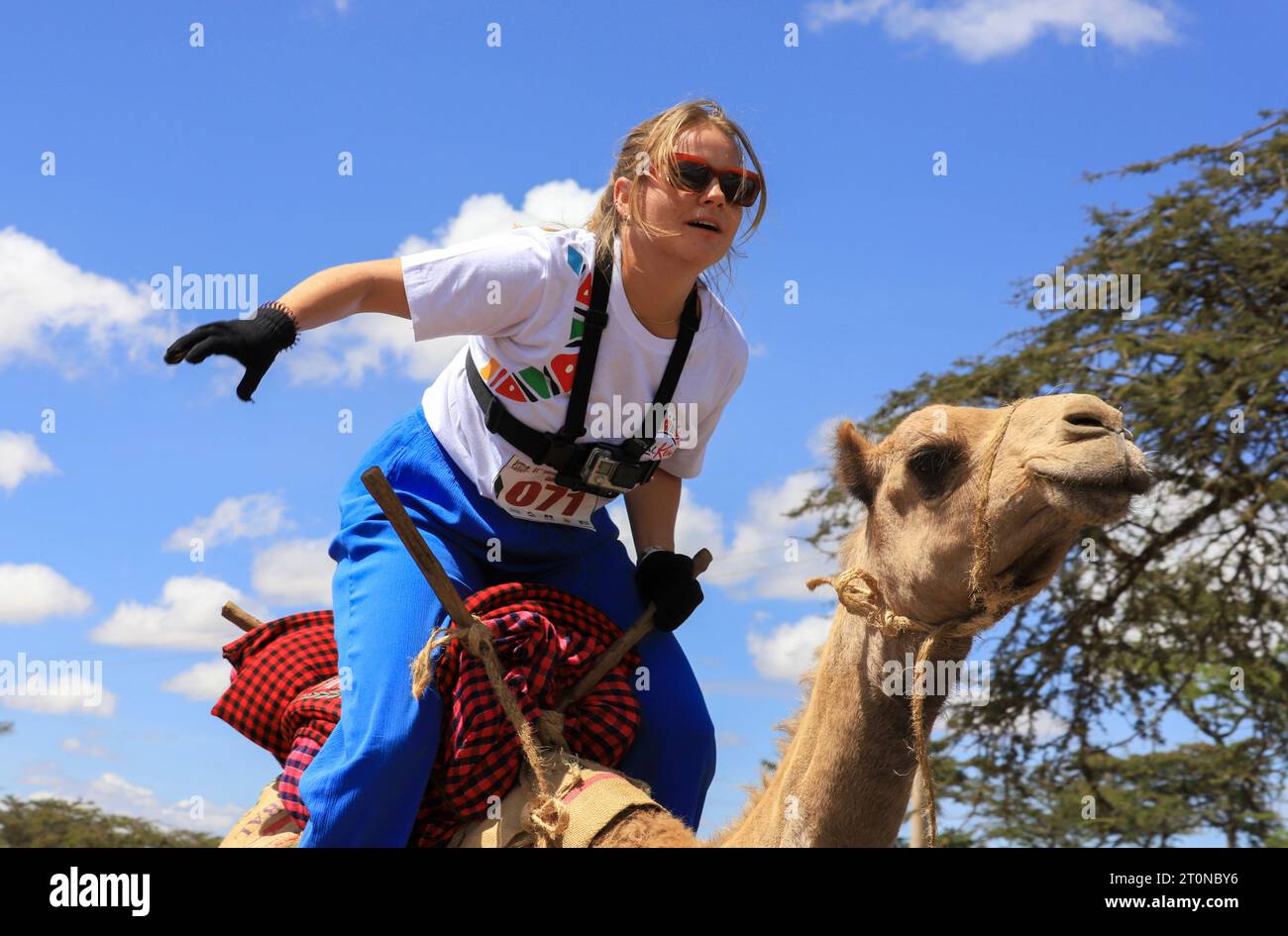 A woman competes in a amateur camel race at the Maralal International ...