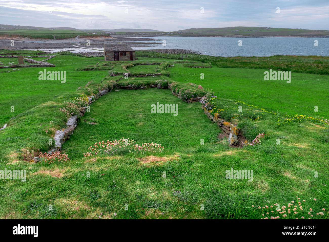 The tidal Island Brough of Birsay in Orkney, Scotland Stock Photo - Alamy