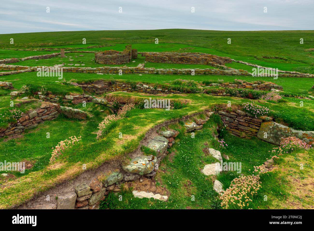 The tidal Island Brough of Birsay in Orkney, Scotland Stock Photo - Alamy