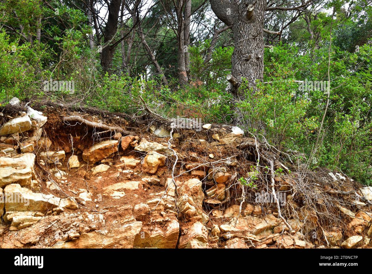 Flysch is a geological formation, complex of marine sedimentary rocks ...