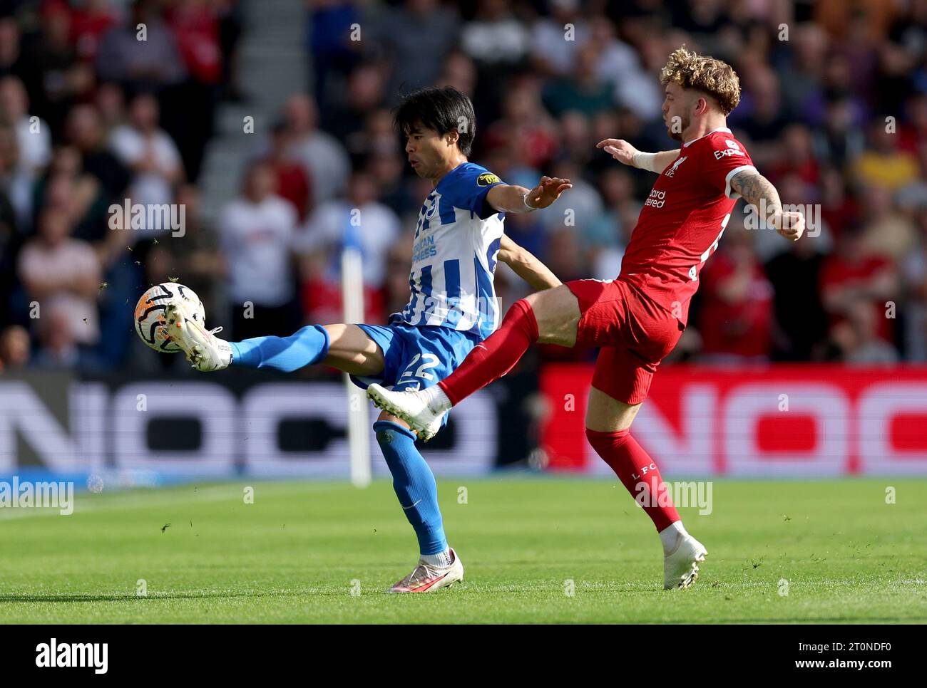 Brighton and Hove Albion's Kaoru Mitoma (left) and Liverpool's Harvey ...